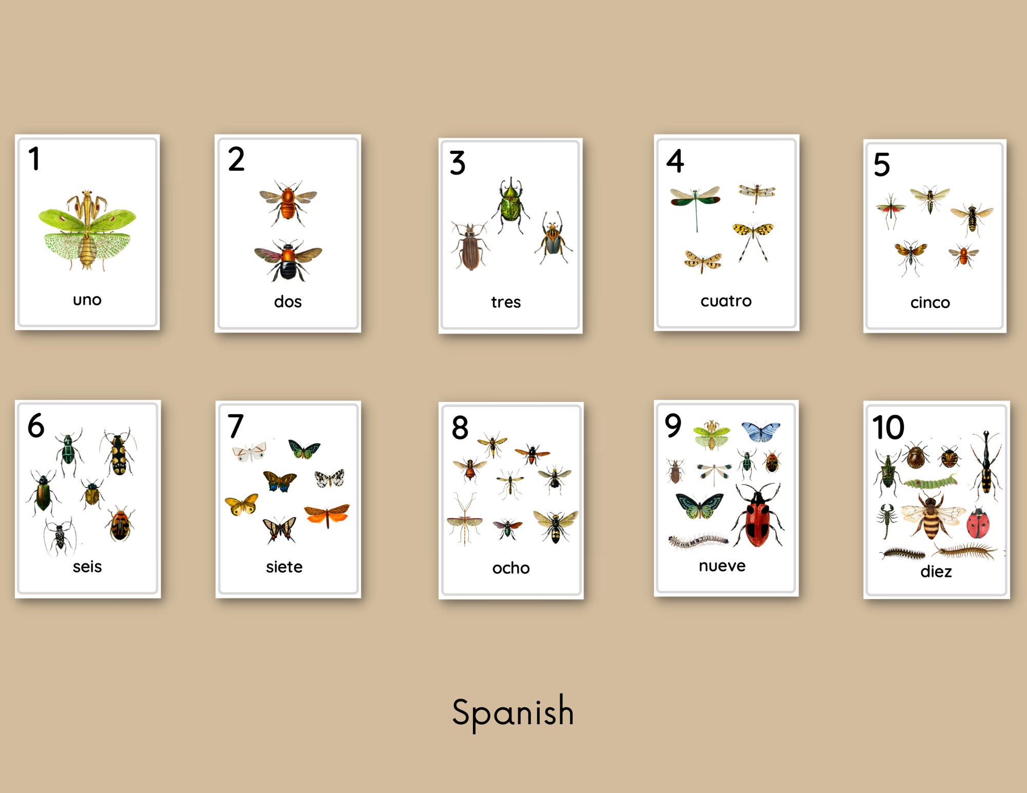 Printable Number Flashcards Bilingual Education Montessori Insects ...
