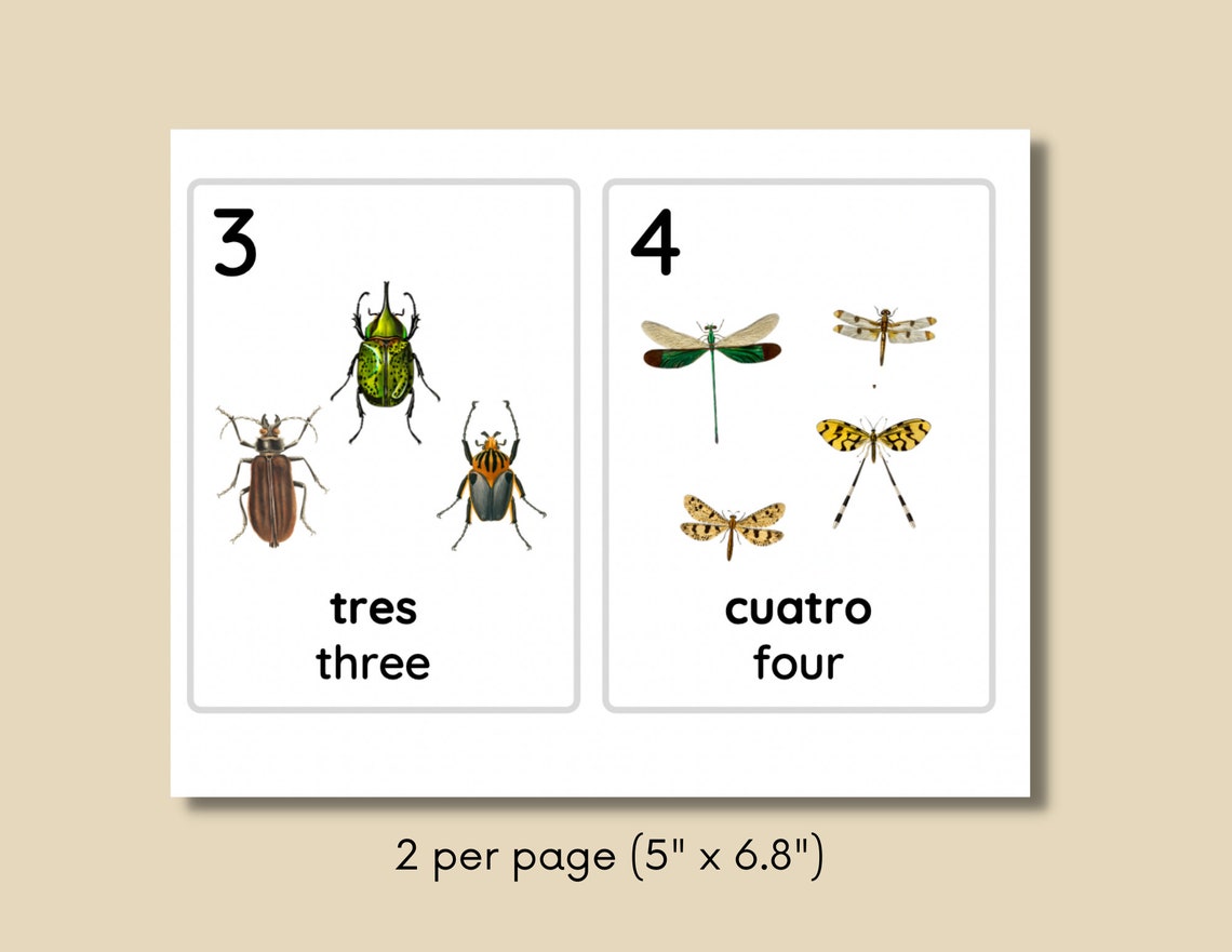 Printable Number Flashcards Bilingual Education Montessori Insects ...