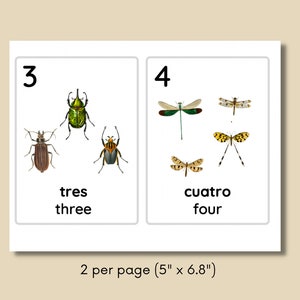 Printable Number Flashcards Bilingual Education Montessori Insects ...
