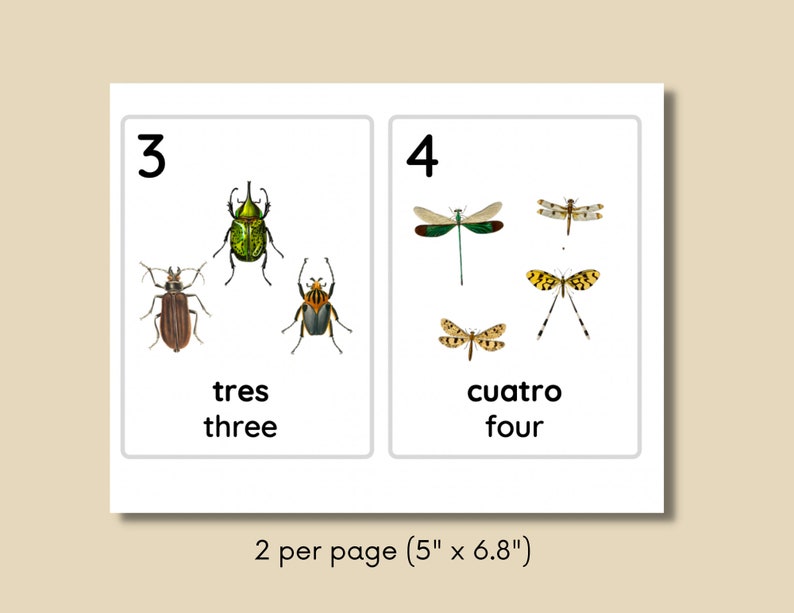 Printable Number Flashcards Bilingual Education Montessori - Etsy