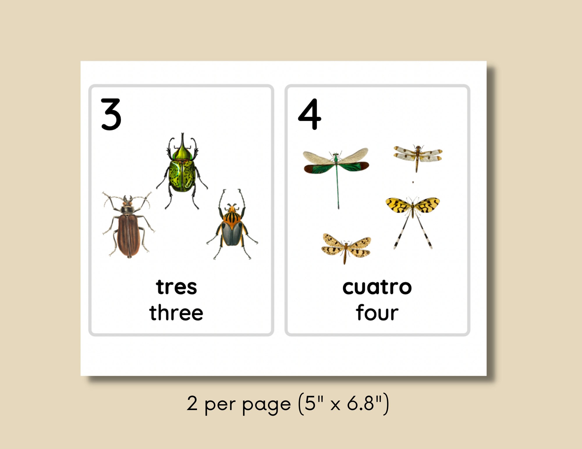 Printable Number Flashcards Bilingual Education Montessori Insects ...