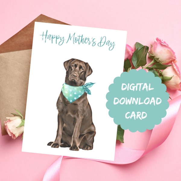 Chocolate Lab Card - Etsy
