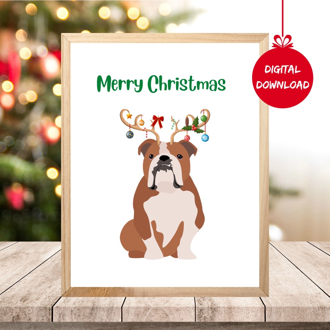 English Bulldog Art, Christmas Bulldog, Bulldog Decoration, Christmas ...