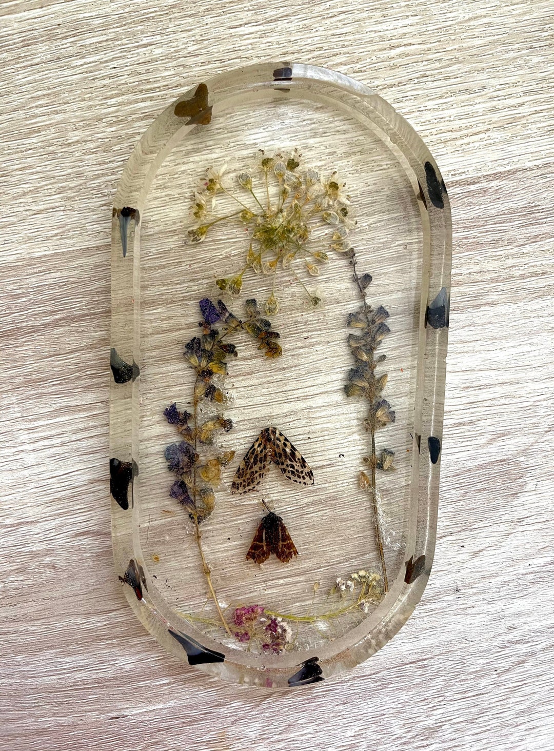 Moth Resin Tray - Etsy