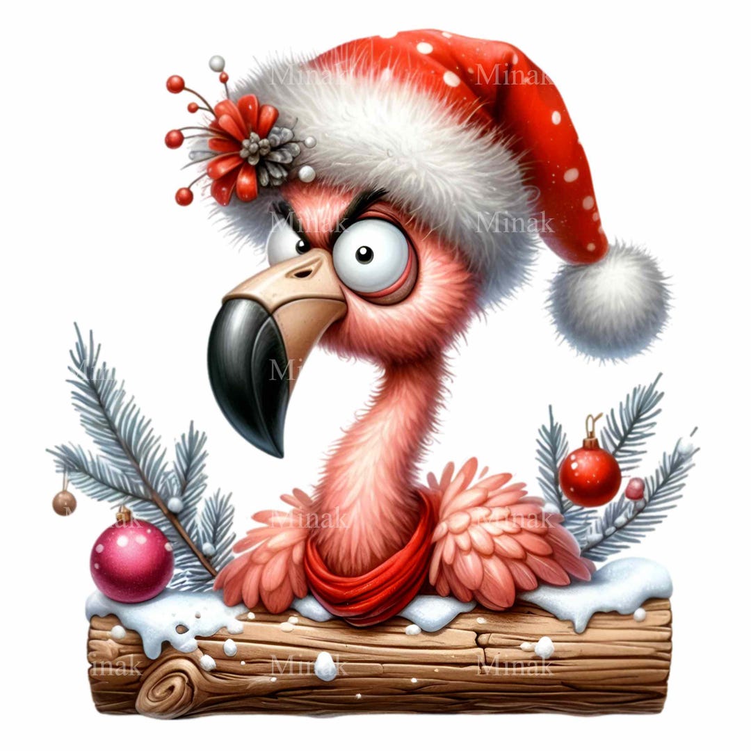 12 PNG Angry Flamingo Clipart – Grumpy Holiday Bird PNG, Funny ...