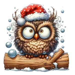 Christmas Owl Clipart PNG, 15 Cute Owl With Santa Hat and Ornaments ...