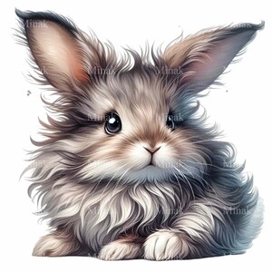 12 Fluffy Bunny PNG Clipart. Adorable Long-eared Rabbit Illustration ...