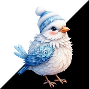 Winter Bluebird Clipart PNG - 19 Cute Bluebird in Santa Hat, Snowy Pine ...