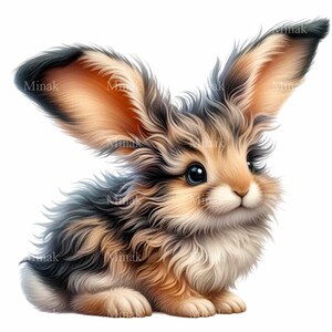 12 Fluffy Bunny PNG Clipart. Adorable Long-eared Rabbit Illustration ...