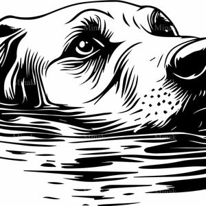4 SVG Swimming Dog SVG Cut File - Labrador Retriever Emerging From ...