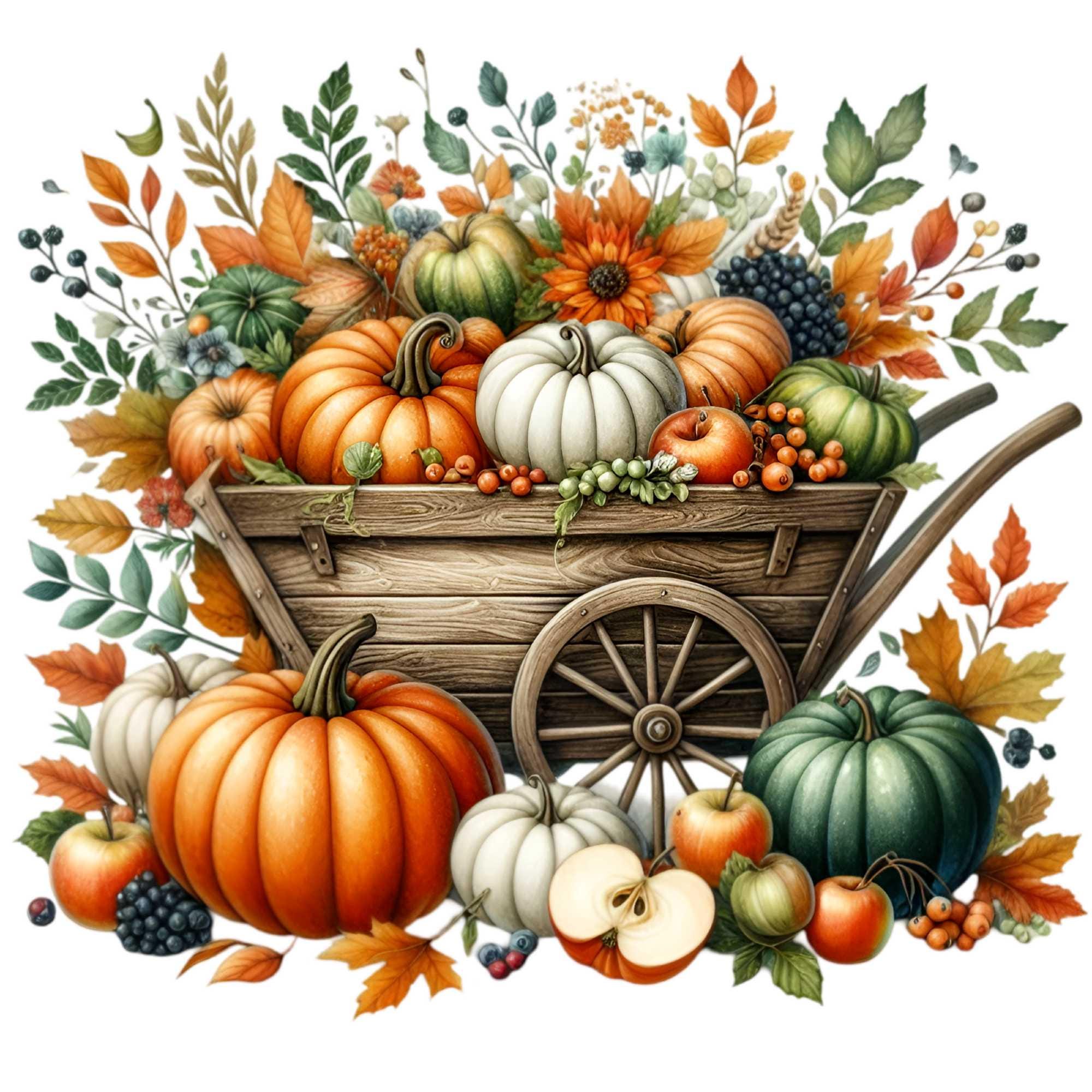 12 PNG Fall Pumpkin Wheelbarrow Autumn Harvest Clipart - Etsy