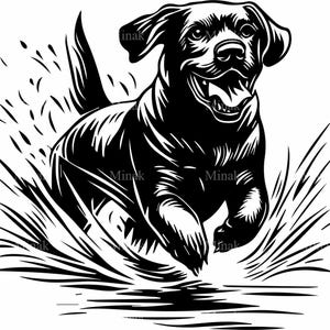 4 SVG Running Dog Splash SVG – Happy Pet Cut File – Energetic Pup ...