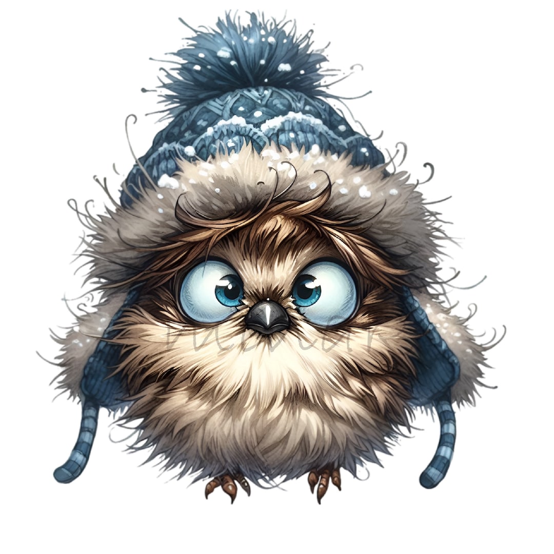 12 Cute Winter Owl Clipart PNG – Fluffy Bird in Snow Hat – Christmas ...