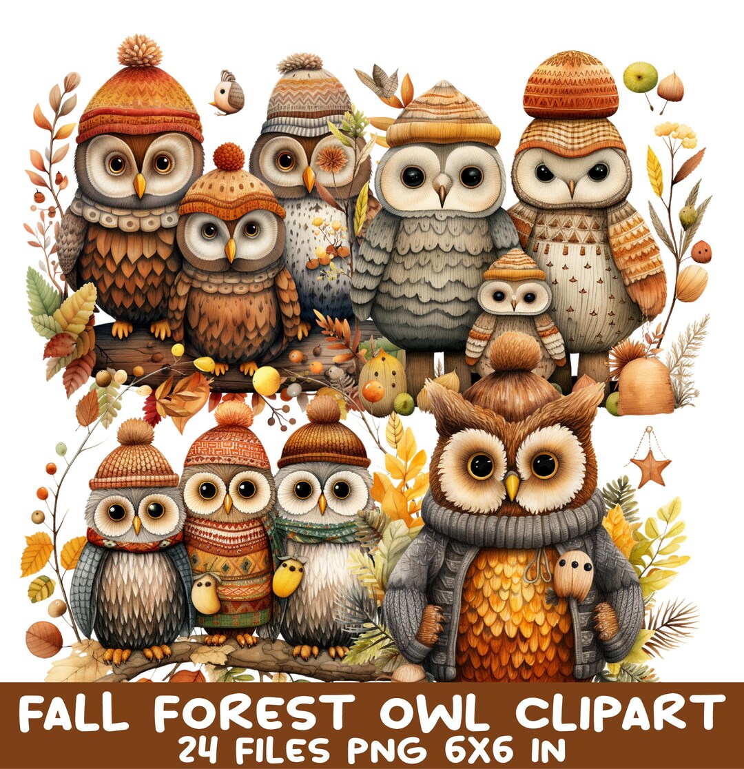 24 Forest Owl Clipart PNG Bundle Watercolor Fall Leaves - Etsy