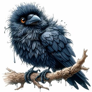 Majestic Raven PNG Clipart 10 Fluffy Black Bird With Detailed Feathers ...