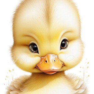 20 Cute Baby Duck Clipart PNG, Fluffy Yellow Duckling With Spring ...