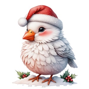 Red Bird Clipart Bundle PNG, 25 Watercolor Winter Cardinal Clip Art ...