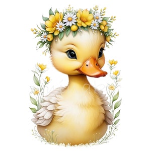 Duckling Clipart Bundle PNG, 12 Watercolor Baby Duck Clip Art ...