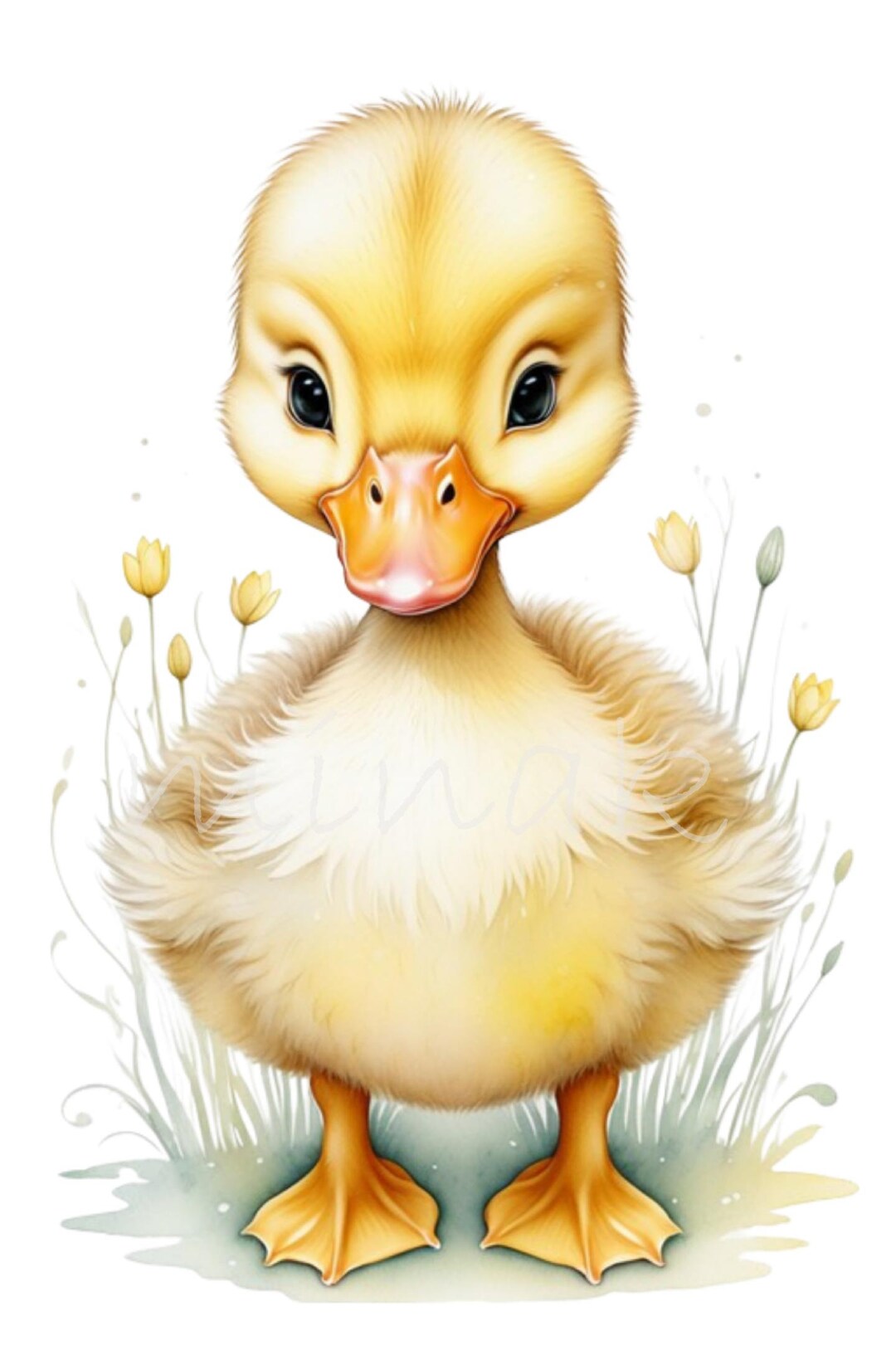 20 Cute Baby Duck Clipart PNG, Fluffy Yellow Duckling With Spring ...