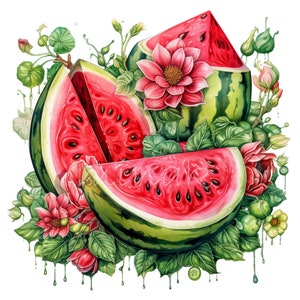 Watermelon Clipart Bundle PNG, 19 Watercolor Summer Fruit Food ...