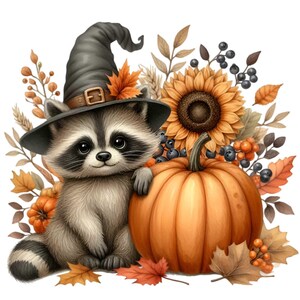 Raccoon Witch Clipart With Pumpkin and Sunflowers, Autumn Harvest Art ...