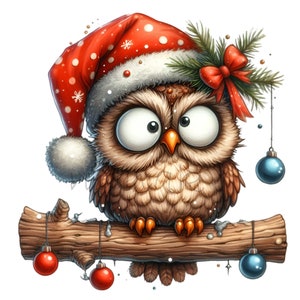 Christmas Owl Clipart PNG, 15 Cute Owl With Santa Hat and Ornaments ...