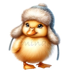 Winter Duckling Clipart Adorable Duck Illustration 12 PNG Perfect for ...