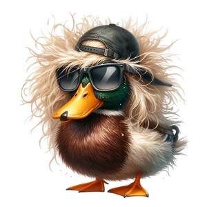 Cool Duck Clipart PNG - 14 Adorable Cartoon Duck With Sunglasses and ...