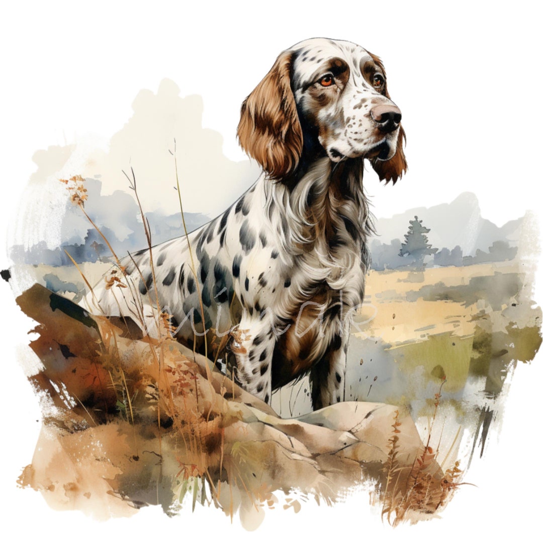English Setter Clipart 10 Watercolor Hunting Dog in Nature Scene ...