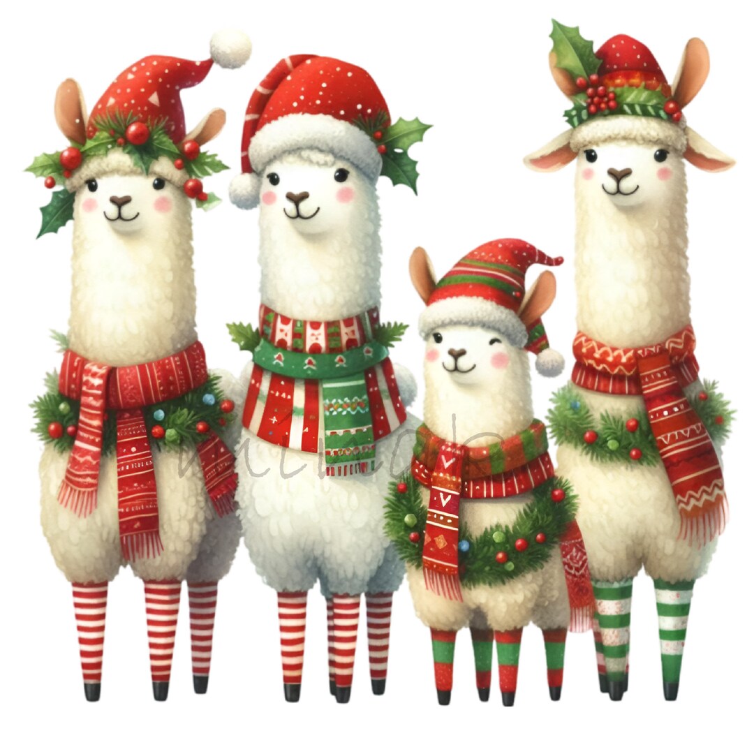 15 PNG Christmas Alpacas – Llama Family PNG – Holiday Clipart for ...