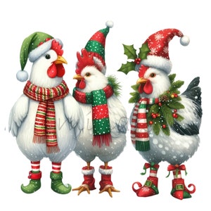 Festive Christmas Chickens Clipart, 10 Cute Holiday Rooster PNG, Santa ...