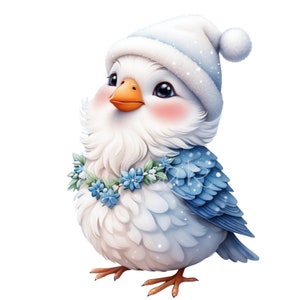Winter Bluebird Clipart PNG - 19 Cute Bluebird in Santa Hat, Snowy Pine ...