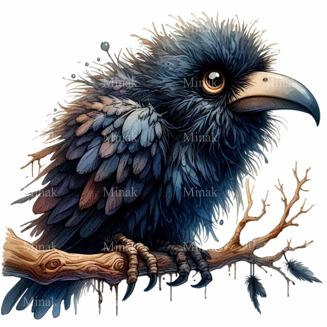 Majestic Raven PNG Clipart 10 Fluffy Black Bird With Detailed Feathers ...