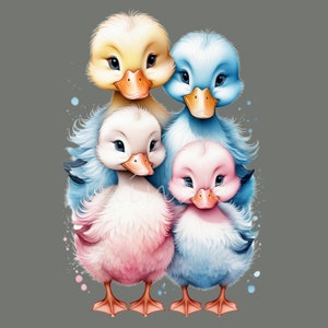 Adorable Duckling PNG Clipart, 12 Cute Baby Ducks Illustration ...