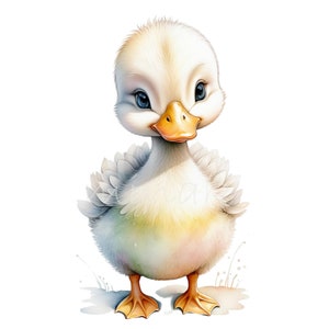 Duckling Clipart Bundle PNG, 17 Watercolor Baby Duck Clip Art ...