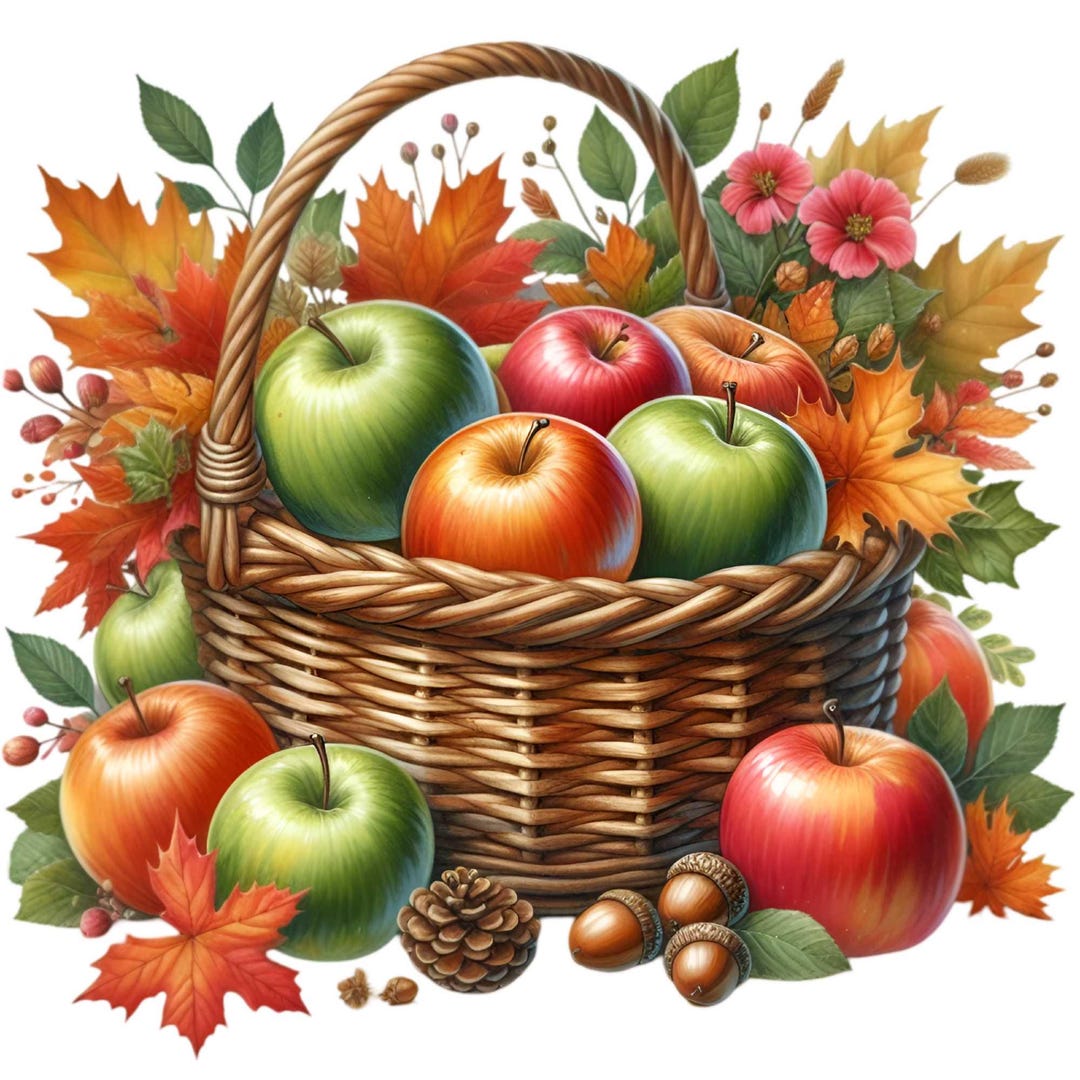 Autumn Apple Basket Clipart PNG, 12 Rustic Fall Harvest Illustration ...