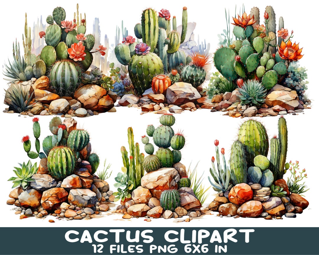 12 PNG Desert Plant Clipart – Cactus PNG Bundle – Succulent Landscape ...