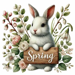 14 Spring Bunny PNG Clipart - Adorable Rabbit With Blossoms and Wooden ...