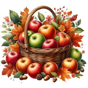 Autumn Apple Basket Clipart PNG, 12 Rustic Fall Harvest Illustration ...