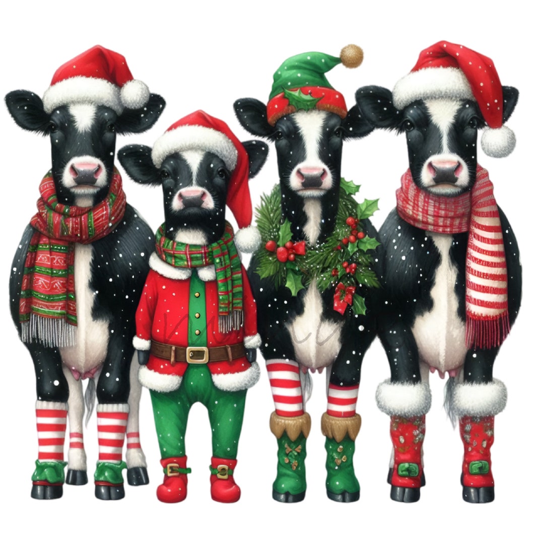 Festive Christmas Cow Family Clipart 12 Adorable Cows in Holiday ...