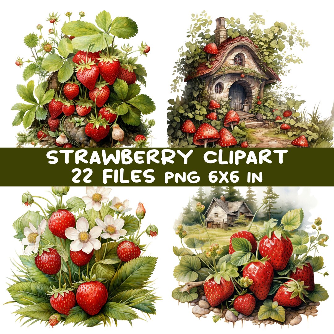 Watercolor Strawberry Clipart Bundle 21 PNG Transparent Illustration ...
