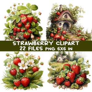 Watercolor Strawberry Clipart Bundle 21 PNG Transparent Illustration ...