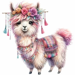 12 Floral Llama PNG Clipart, Cute Alpaca Art, Llama Illustration ...
