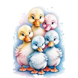 Adorable Duckling PNG Clipart, 12 Cute Baby Ducks Illustration ...