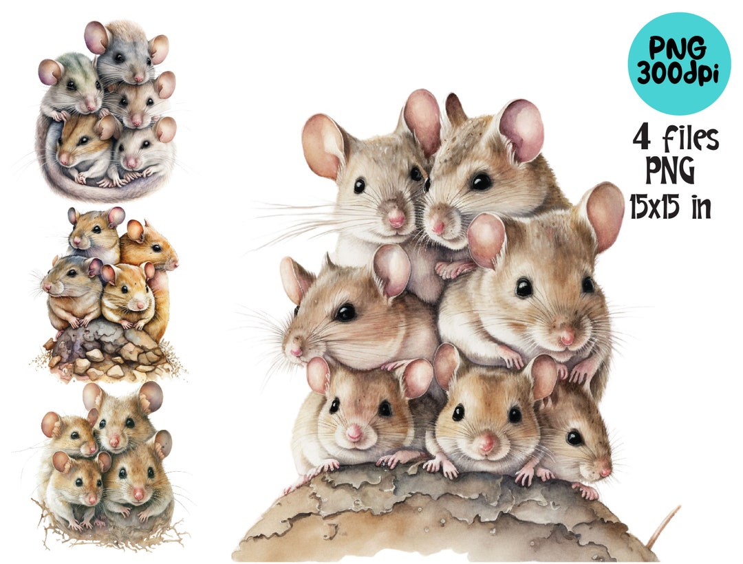 Baby Mouse Clipart PNG Watercolor Cute Mice Funny Nursery - Etsy