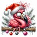 12 PNG Angry Flamingo Clipart – Grumpy Holiday Bird PNG, Funny ...