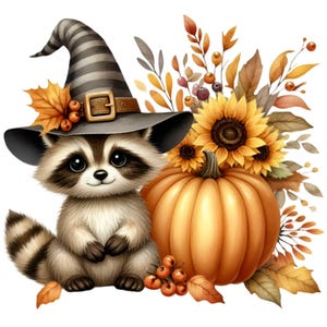 Raccoon Witch Clipart With Pumpkin and Sunflowers, Autumn Harvest Art ...