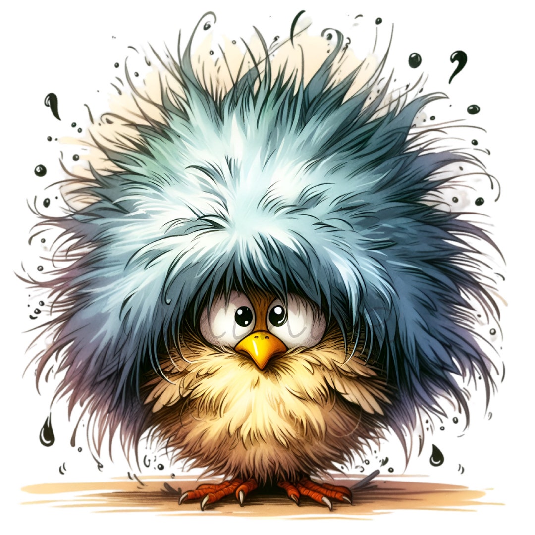 Fluffy Bird PNG Clipart | 12 Funny Wet Bird With Crazy Feathers | Cute ...