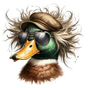Cool Duck Clipart PNG - 14 Adorable Cartoon Duck With Sunglasses and ...