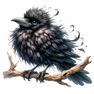 10 PNG Raven Clipart - Spooky Crow - Gothic Bird Illustration ...